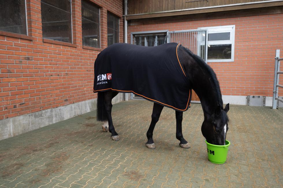 Privatstall im Fricktal | B+M Agrotech