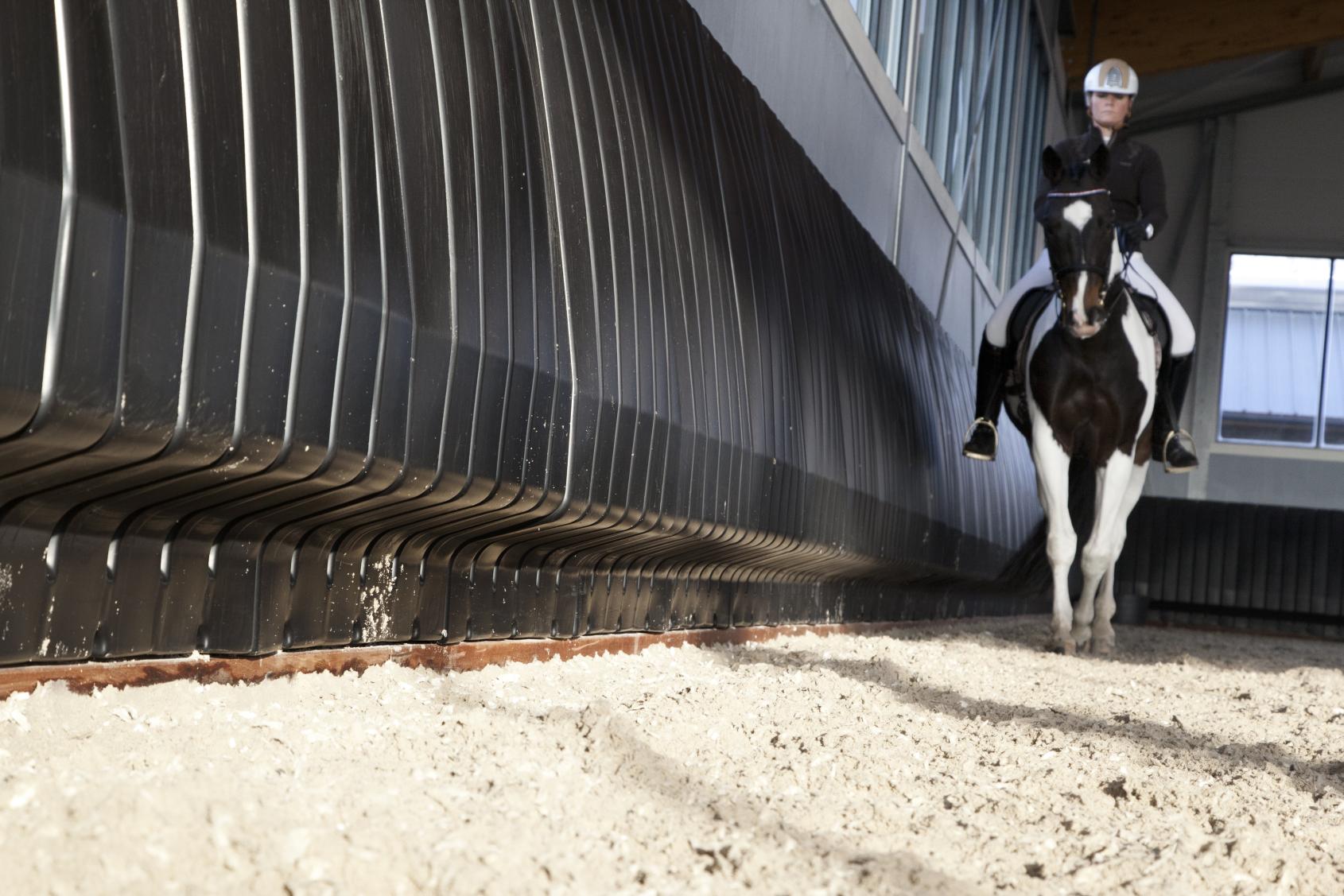 Plus de sécurité dans le manège : le Safety Wall | B+M Agrotech